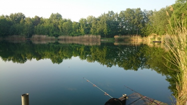 Startseite - angeln-jessen.de